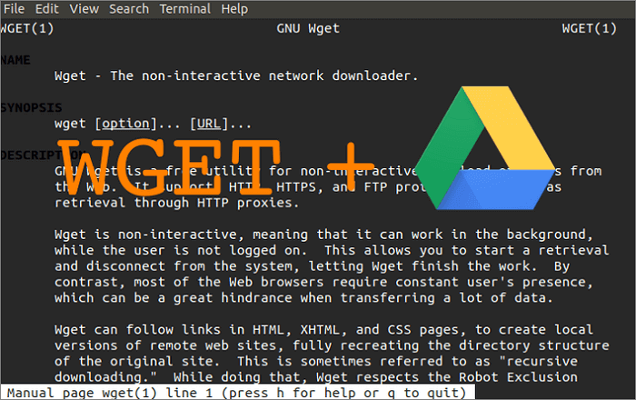 How to Download a Large File from Google Drive [Guide]